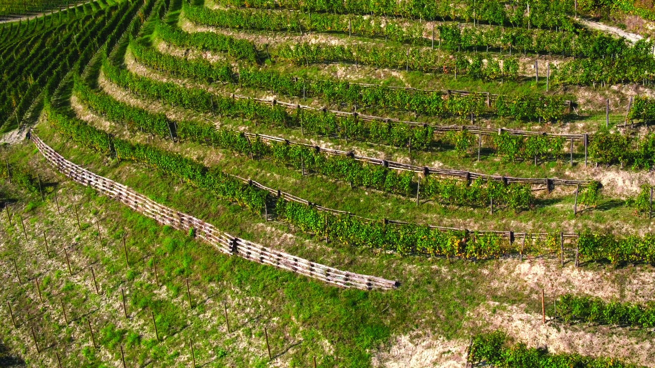 Barolo Cannubi Riserva: The Long-Lived «King»