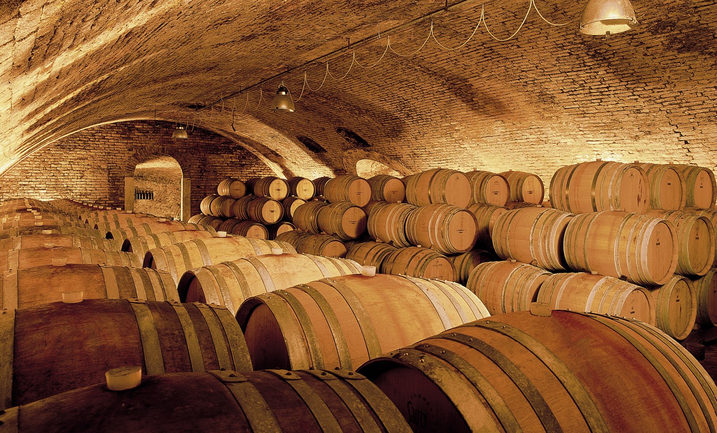 Discover the Timeless Charm of Coppo: A New Chapter in Wine Hospitality