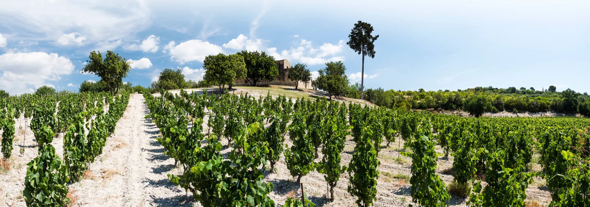 Enotrivia – Sicily, Island of Fire