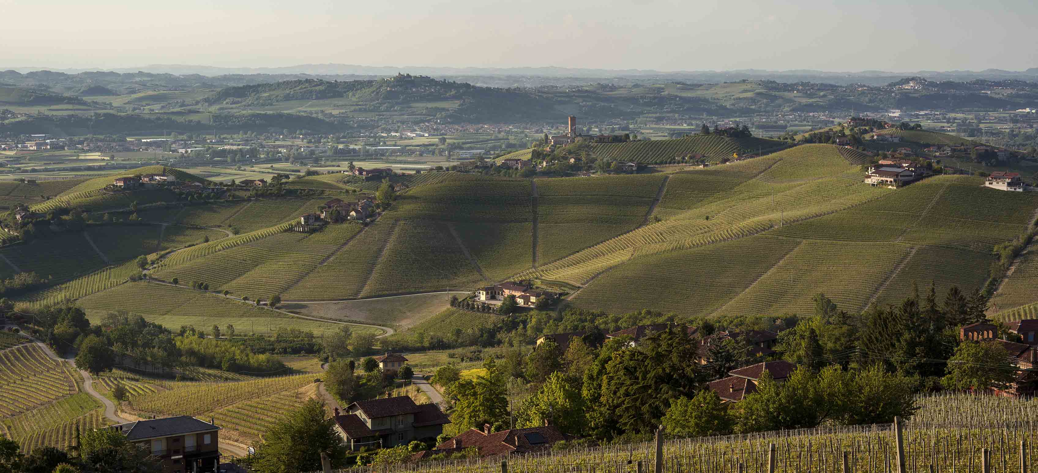 Alberto di Grésy: «Wine Creates Bonds of Beauty»