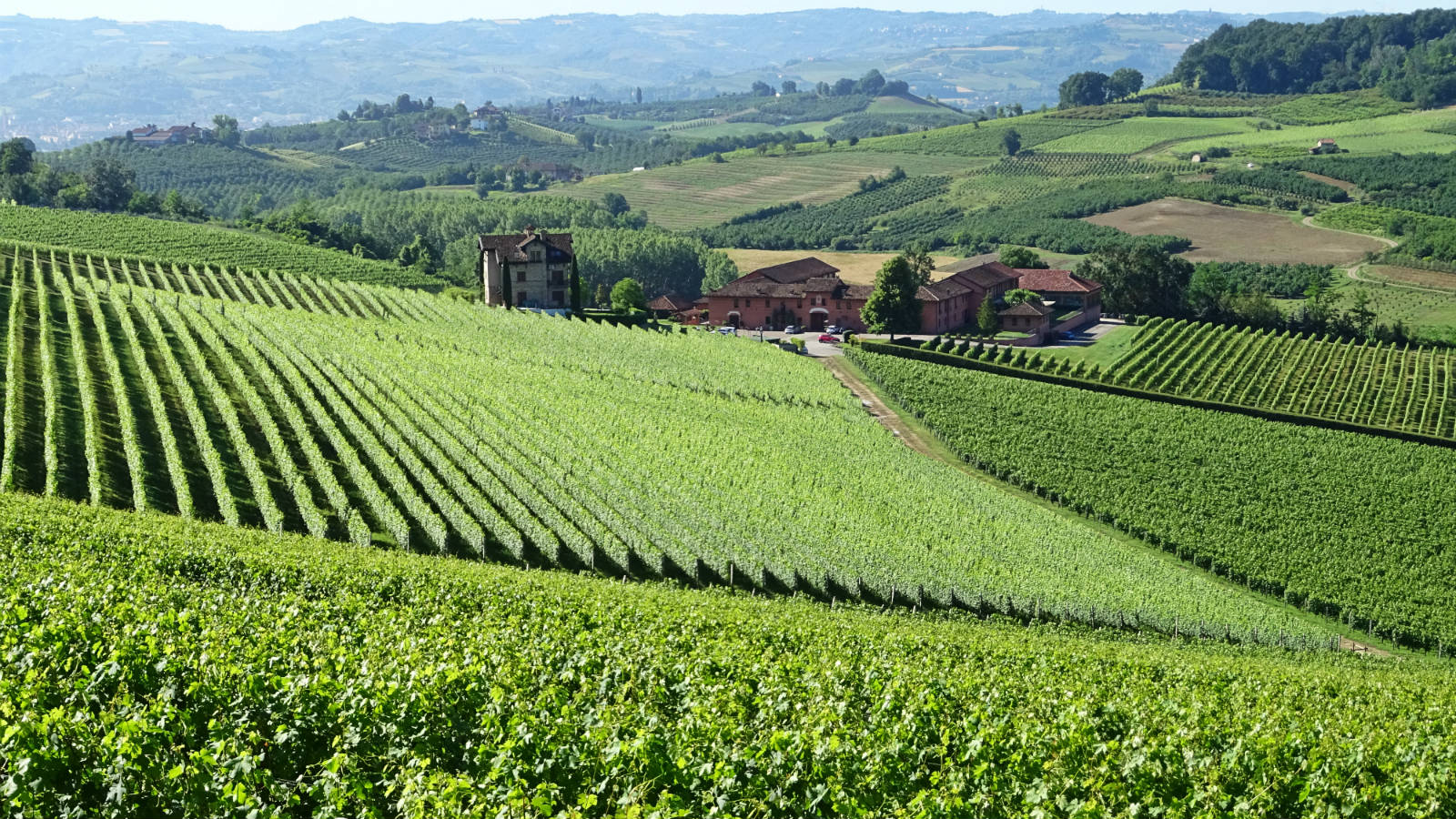Una splendida escursione fra i vigneti del Piemonte, senza la guida!