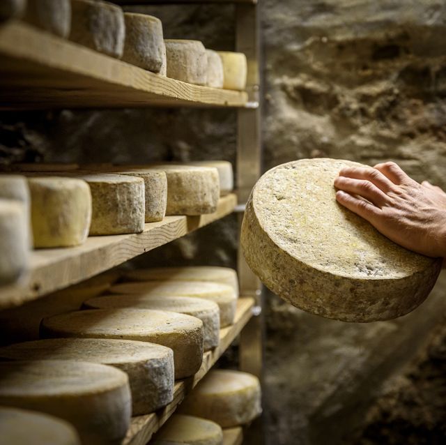 Cheese & Roero Wine Tour | The Grand Wine Tour