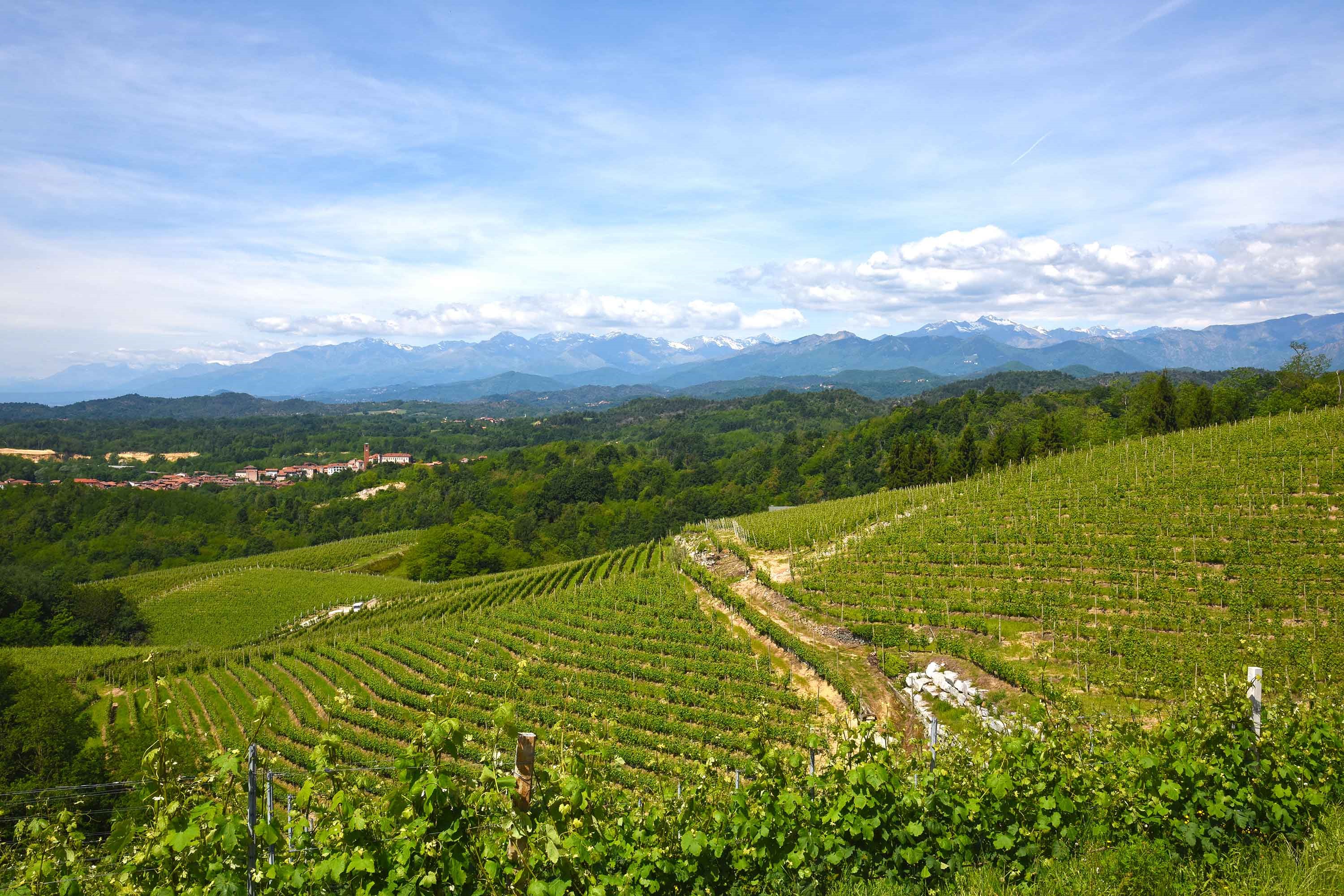 Gattinara Ghemme Wine Tour | The Grand Wine Tour